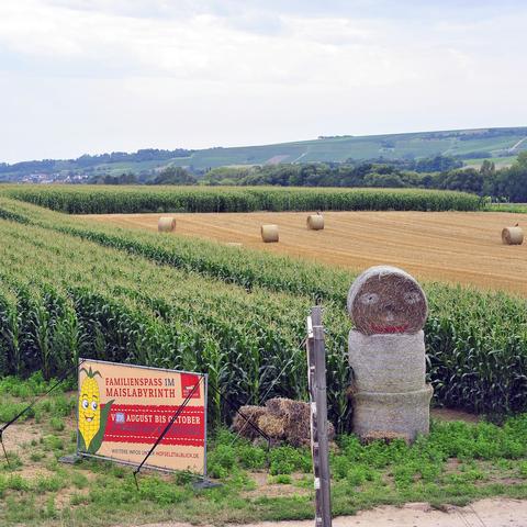 Spektakuläres Maislabyrinth bei Bauer Lipp in Weiterstadt