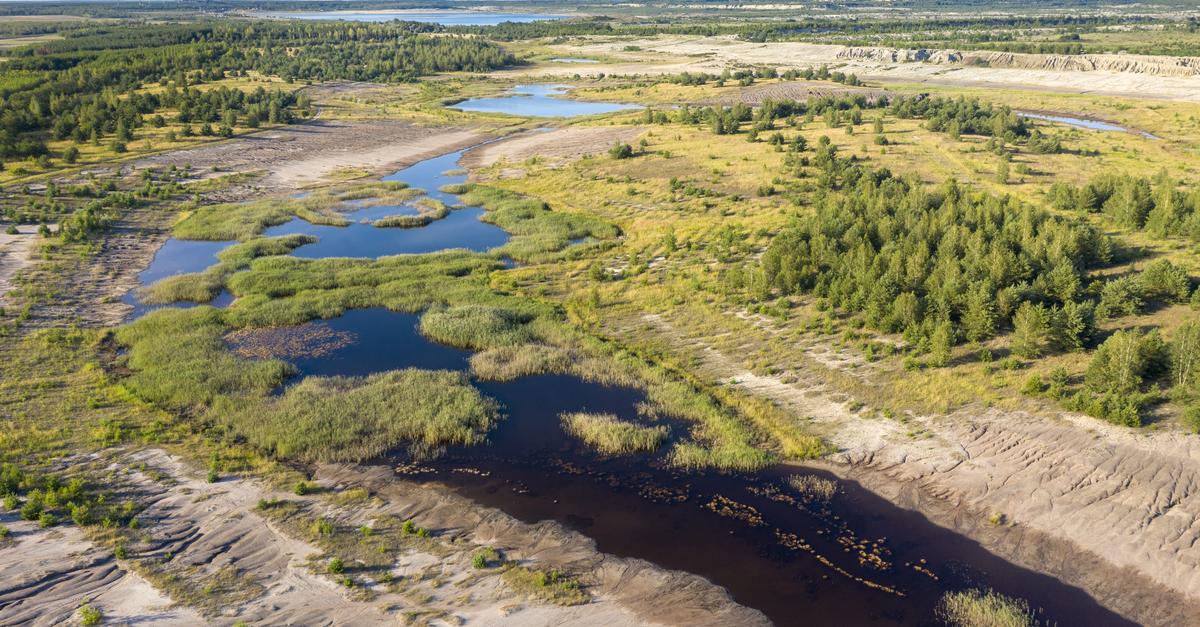 Wo Zugvögel rasten: „Mainzer Land“ in Brandenburg wird 20 Jahre alt