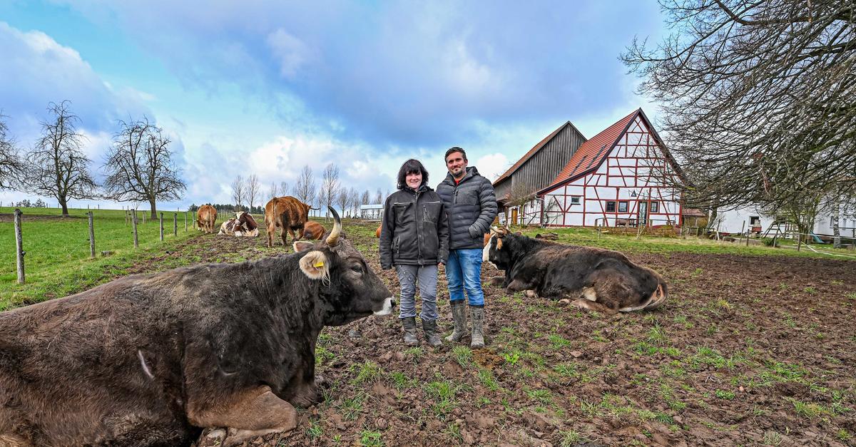 Ein Lebensplatz für Kuh, Schaf und Pute in Oberzent