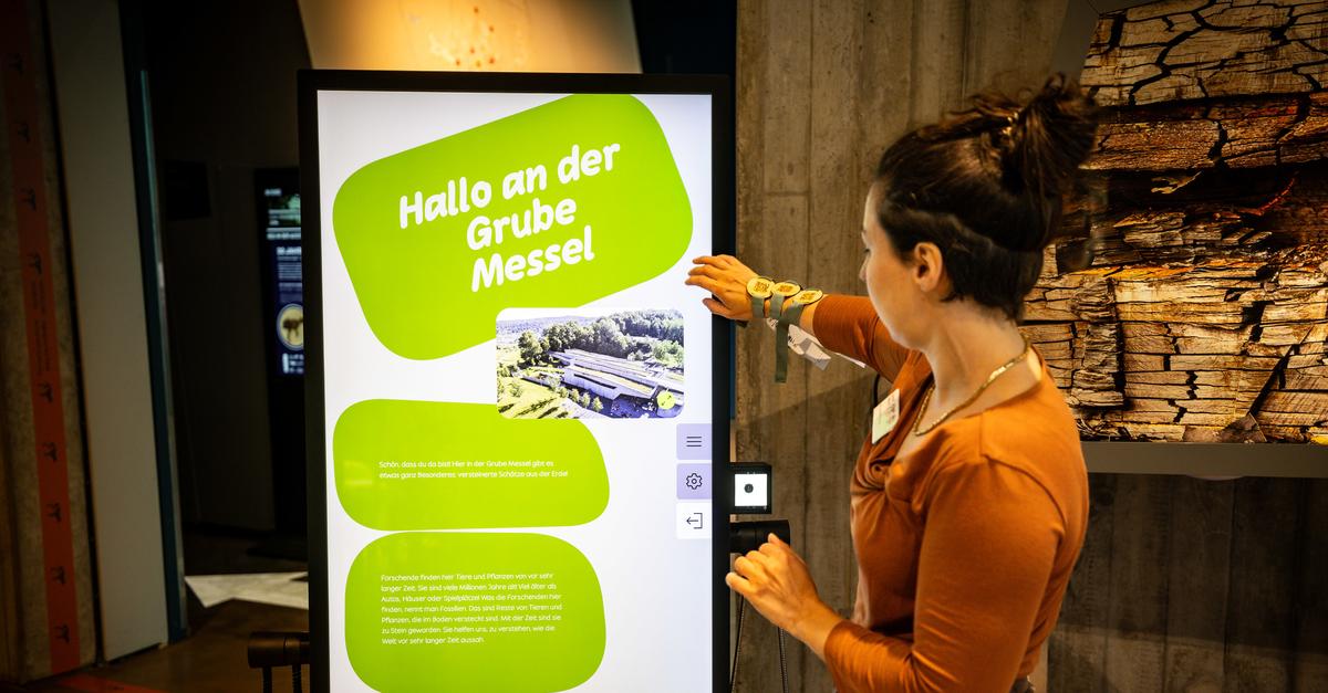 Grube Messel will mit KI Museumsbesuch revolutionieren