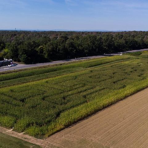 Spektakuläres Maislabyrinth bei Bauer Lipp in Weiterstadt