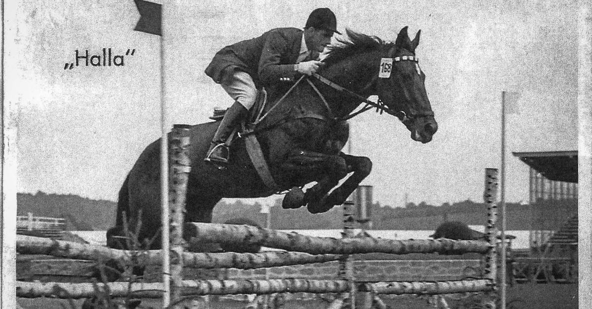 „Wunderstute“ Halla und ihr Bezug zu Darmstadt