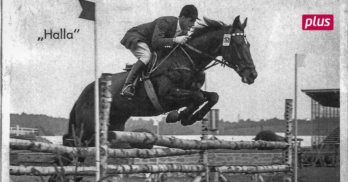 „Wunderstute“ Halla und ihr Bezug zu Darmstadt