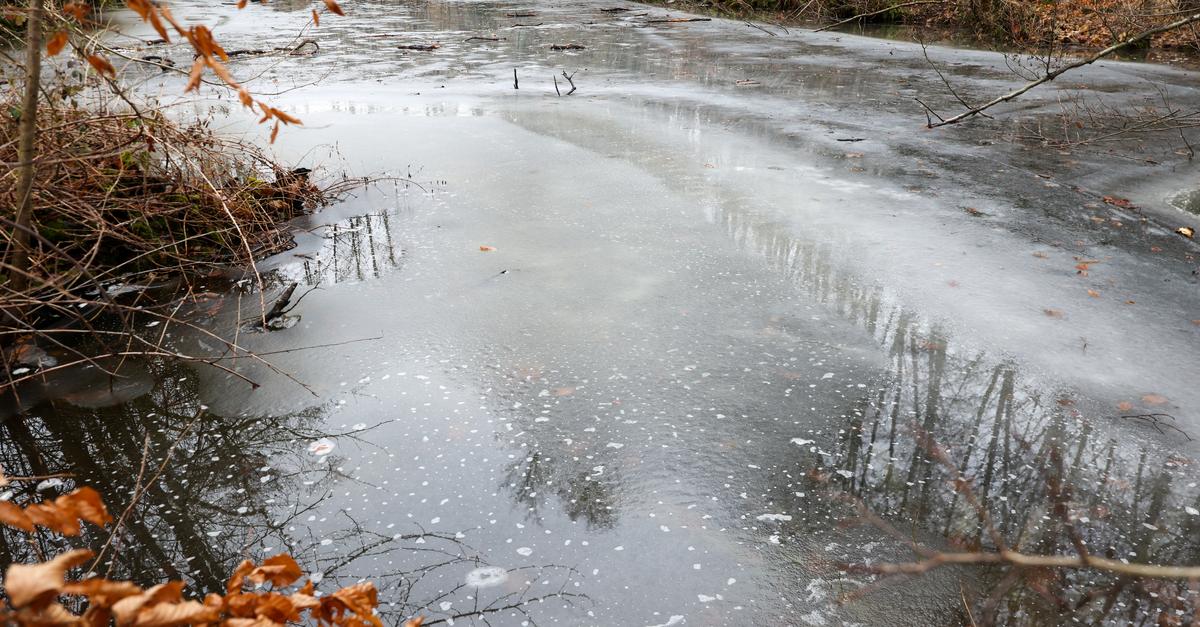 Der Zinkenteich ist Darmstadts wohl unbekanntester Teich