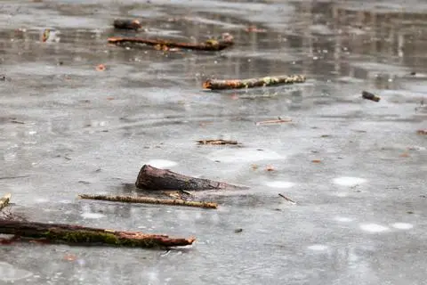 Der Zinkenteich ist Darmstadts wohl unbekanntester Teich