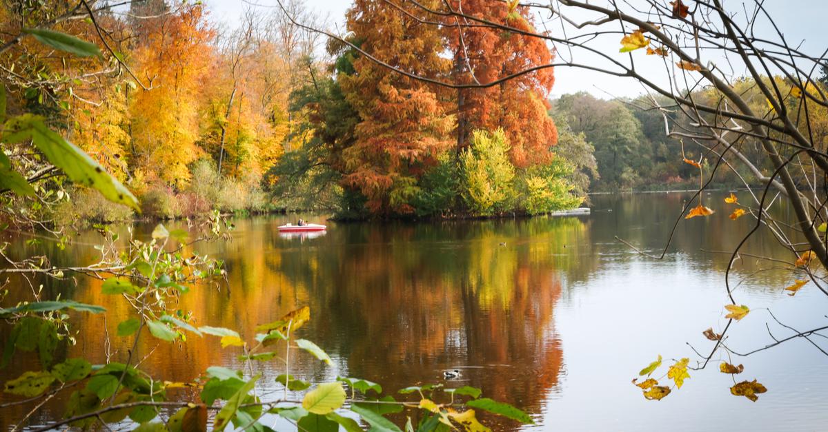 Gewässerserie – Steinbrücker Teich in Darmstadt: Naturidyll mit ...