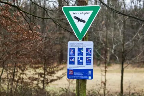 Der Zinkenteich ist Darmstadts wohl unbekanntester Teich