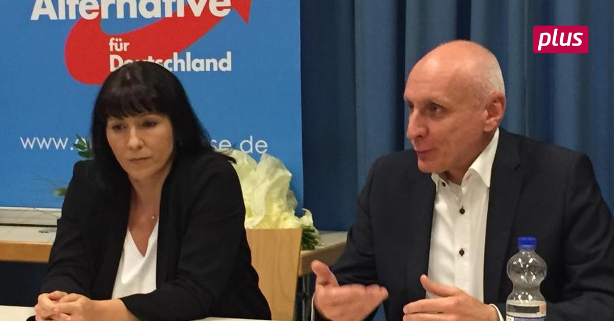 Hessische Politikerin Cotar tritt aus AfD aus