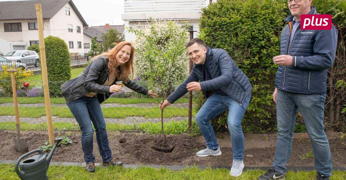 Kirstin Garb mit Mirabellenbaum verabschiedet | Echo Online