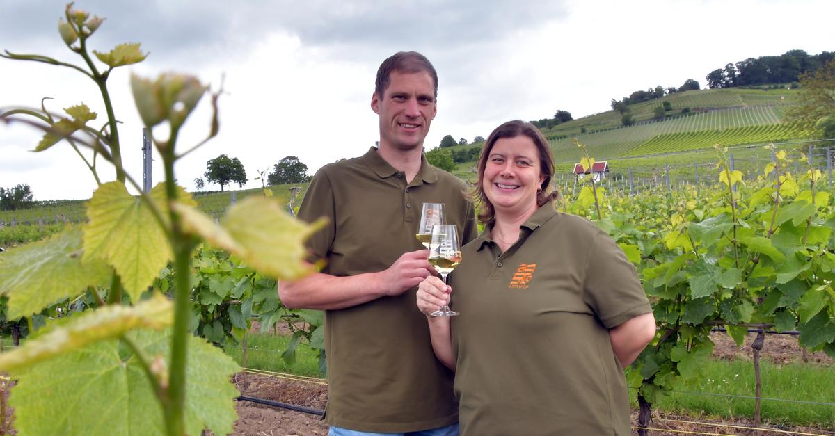Junges Heppenheimer Weingut Amthor begegnet Krise mit Festen und ...