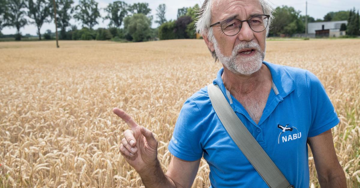 Geschichten von Pflanzen in Lampertheim