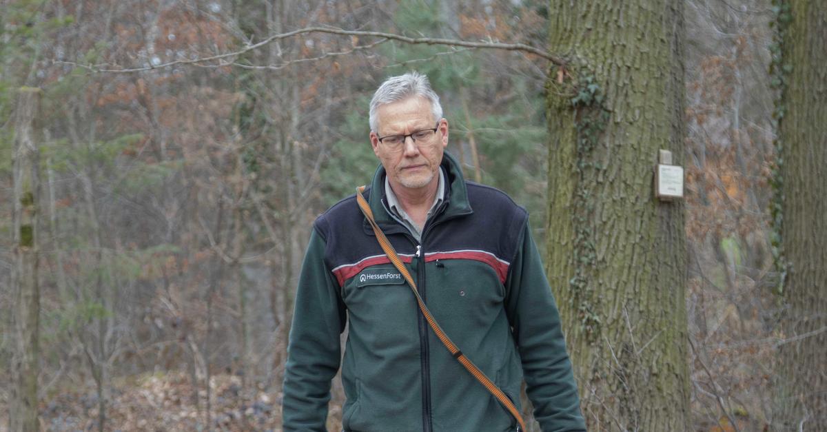 Wald im Wandel: Forstamtsleiter Ralf Schepp geht in Ruhestand
