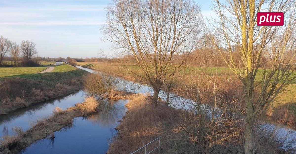 Gewässerverband Bergstraße: Deiche nicht auf Dauer stabil