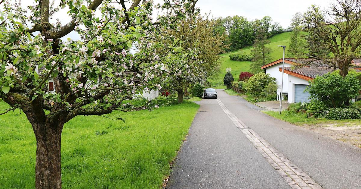 Mörlenbach: Baugebiet soll erweitert werden