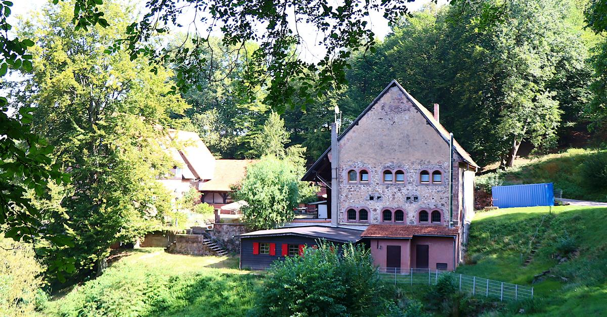 Was in Mörlenbach mit dem Hofgut Lindenhof passieren soll