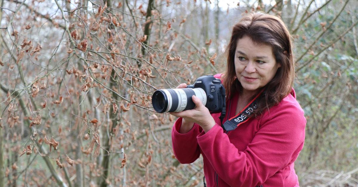 Bildband über Mörlenbach