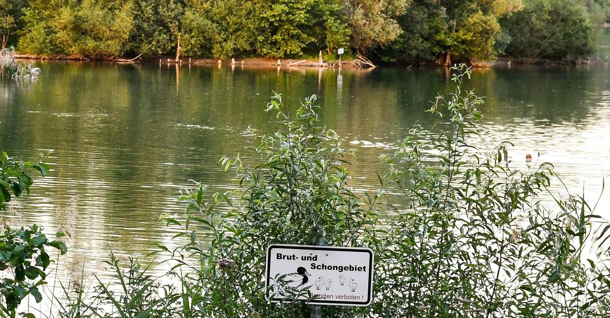 Angler beschließen die Saison am Bickenbacher Erlensee