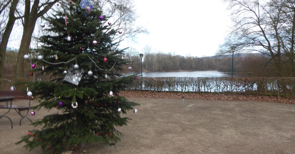 Ausflugsziel im Winter: Der Erlensee bei Bickenbach