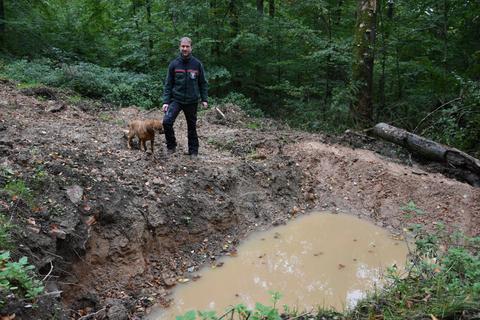 Versickerungsmulden helfen dem Groß-Umstädter Wald
