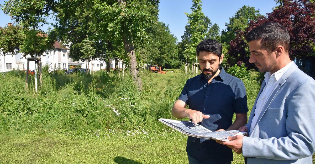 Groß-Zimmerns „Grüne Mitte“ soll klima-fit werden