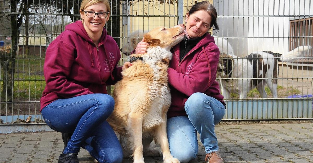 Landkreis Darmstadt-Dieburg gründet „Tierschutzbeirat“