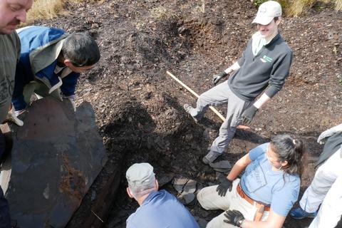 Grube Messel: Vermutlich neues Urpferdchen-Fossil entdeckt