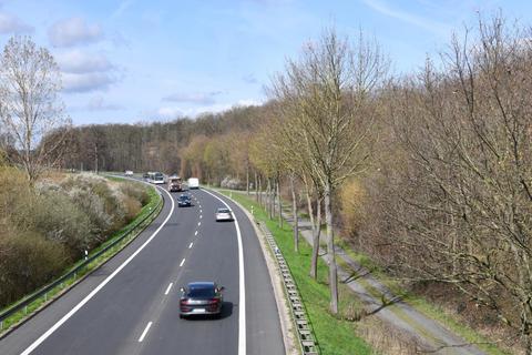 Scheitert B45-Ausbau am Naturschutz?