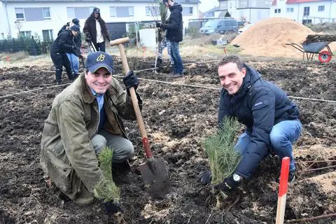 Neuer Miniwald mit 600 Bäumen entsteht in Griesheim