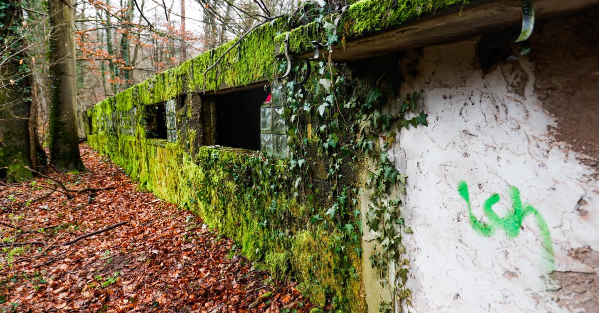 Als vor 30 Jahren das Bordell bei Messel lichterloh brannte