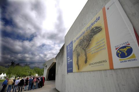 Puppentheater und Märchen für Kinder in der Grube Messel