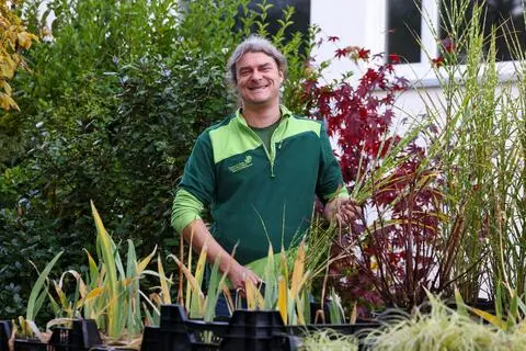 Eric Wilbert: Optimistischer Organisator für Reinheims Firma Tennert & Grede