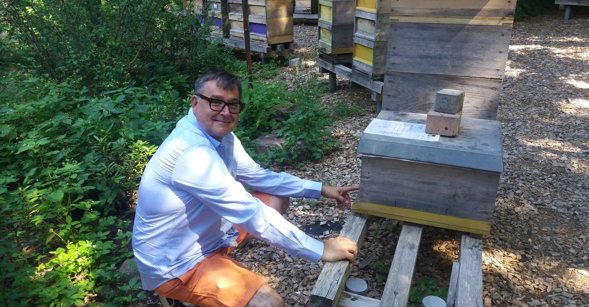 Bienenzucht als Bereicherung im Leben