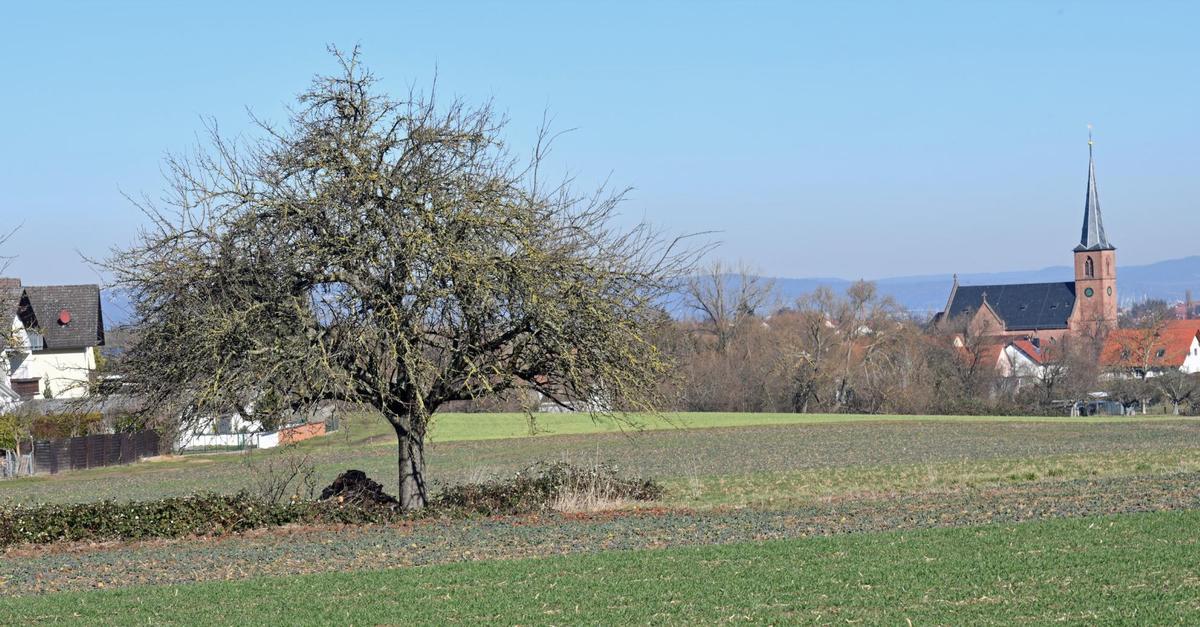 Neubaugebiet in Schaafheim kommt voran
