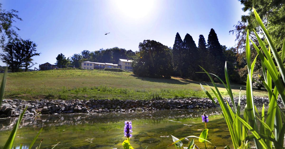 Führung im Schlosspark in Seeheim | Echo Online