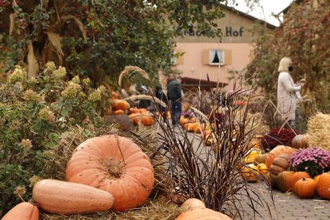 Bauer Lipp’s Kürbisparadies braucht einen Bebauungsplan
