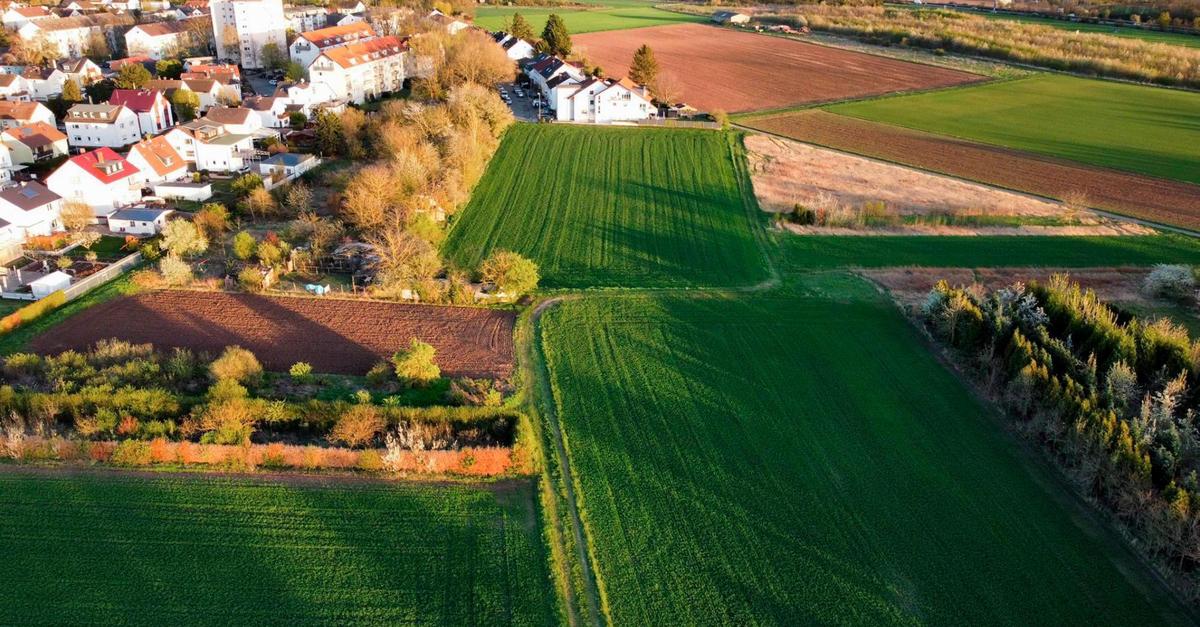 Berliner Zwickel in Bischofsheim: BFW fordert Gesamtkonzept