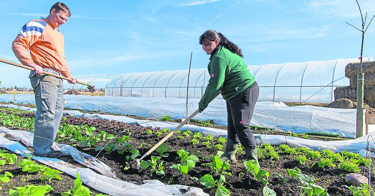 Maria Weinmann betreibt nachhaltigen, intensiven Gemüseanbau in dem ...