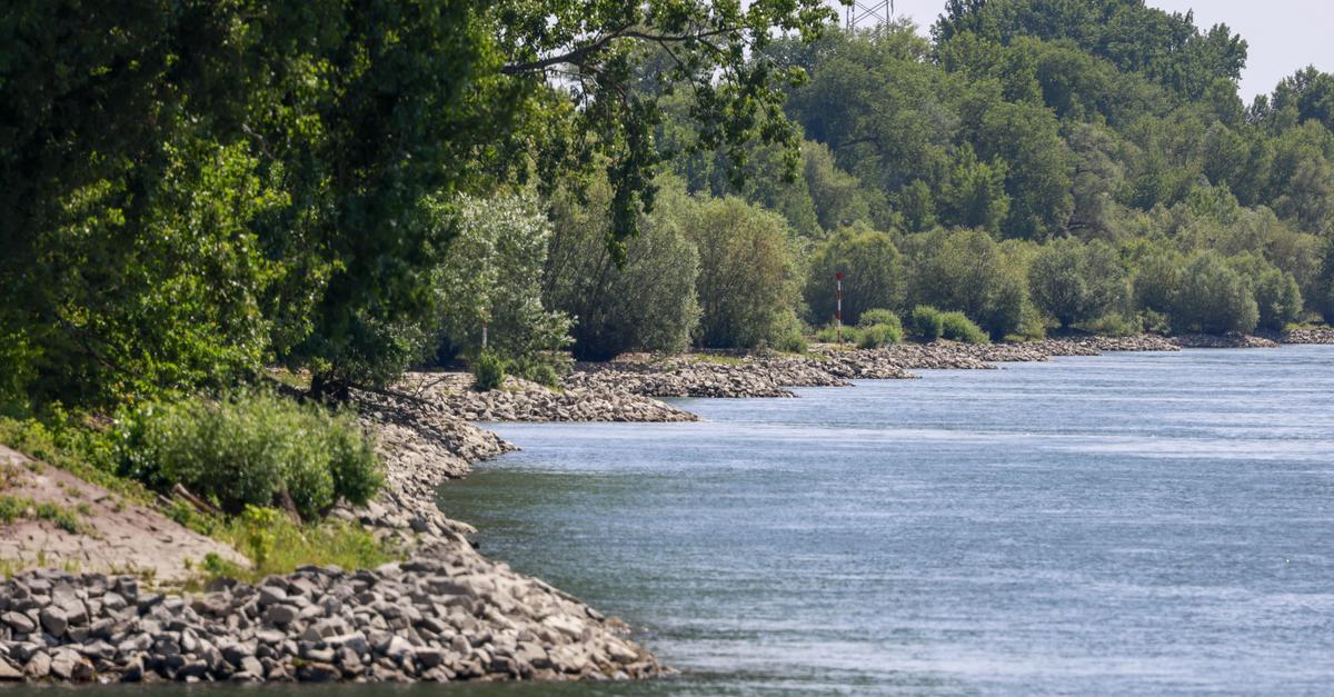 Gefährlicher Badespaß: So riskant ist das Schwimmen im Rhein