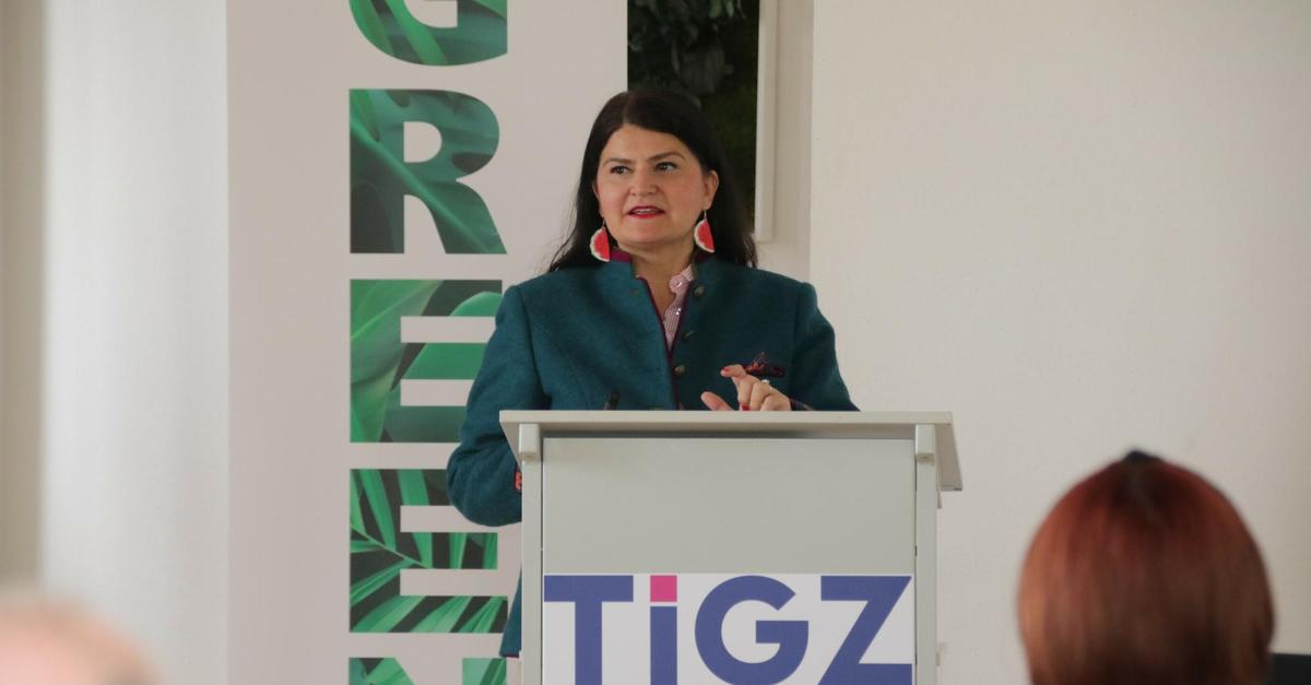 Kreis hinterfragt Beteiligung am TIGZ in Gustavsburg
