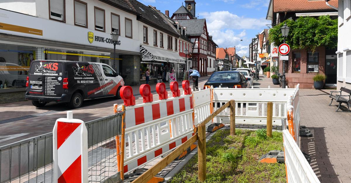 Neue Stadtbäume für Groß-Gerau lassen noch auf sich warten
