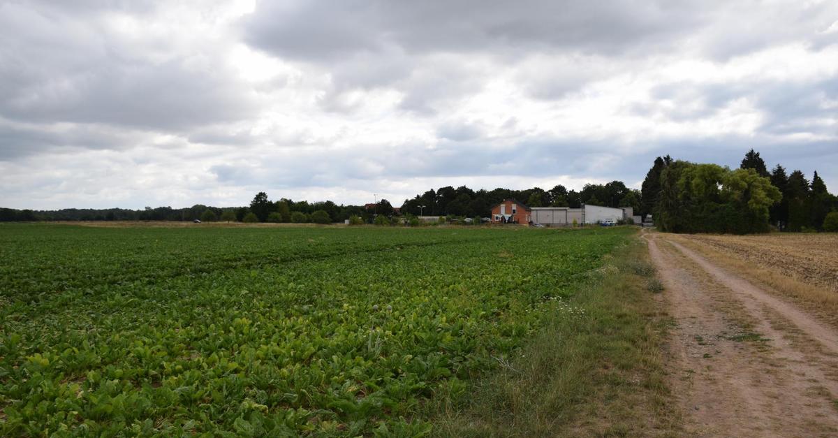 Stadt Groß-Gerau will Kitas massiv ausbauen