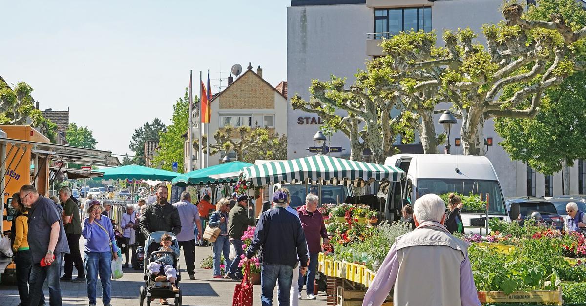 Fabelhafte Steitz Gross Gerau Ebenbild