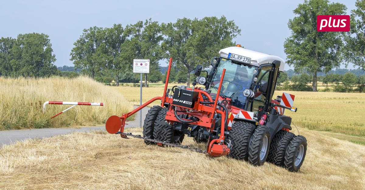Südhessen: Freizeitnutzung der Deiche gefährdet Hochwasserschutz