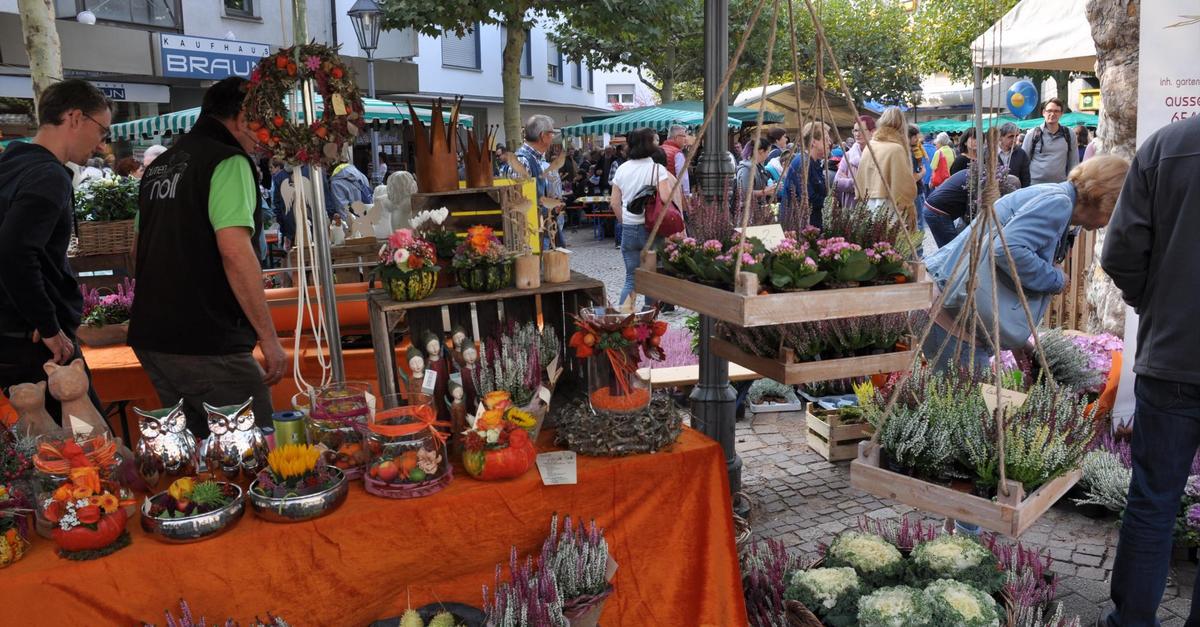 Kreisbauernmarkt auf dem Marktplatz in Groß-Gerau