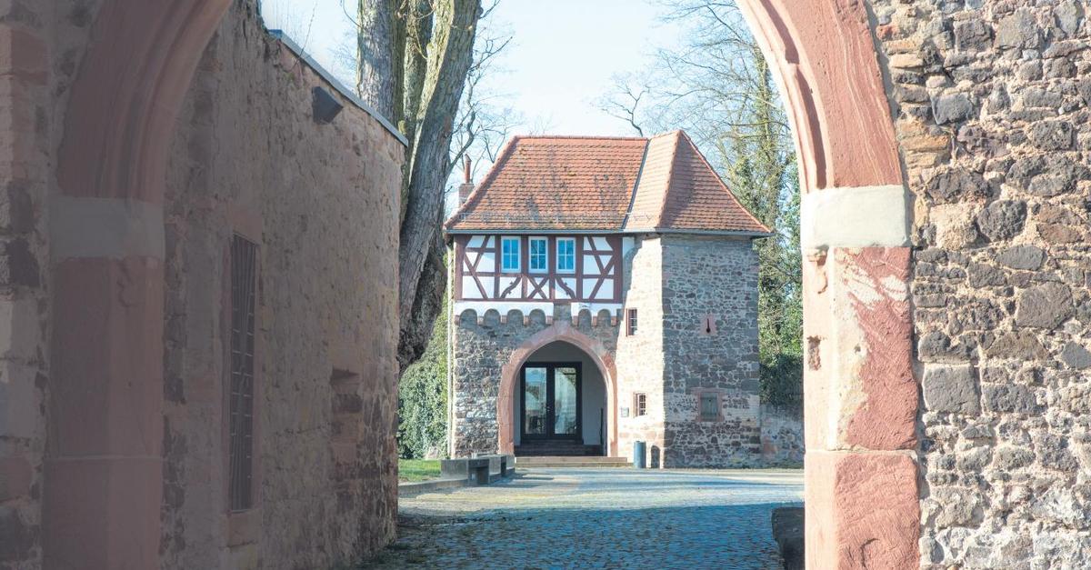 Absage von „Volk im Schloss“: Landrat erklärt die Gründe