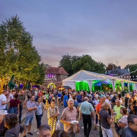 „Volk im Schloss“: Festival in Groß-Gerau startet wieder