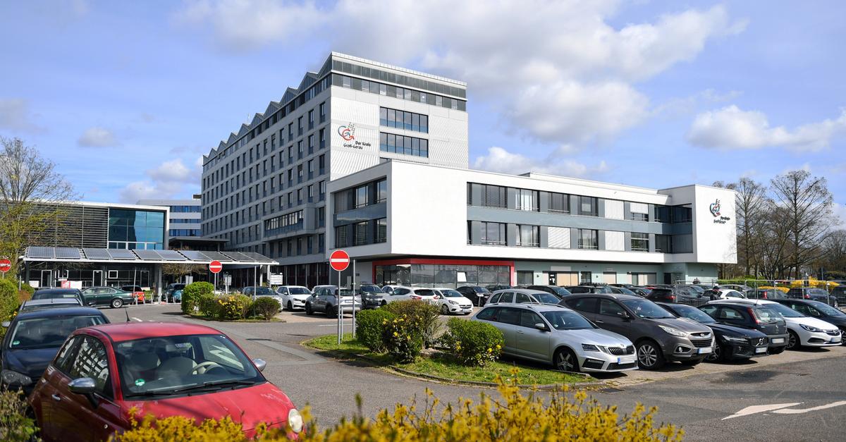 Braun Gro Gerau
