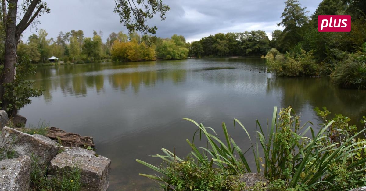 Mörfelden-Walldorf: In Hitzesommern leiden Wildtiere Not