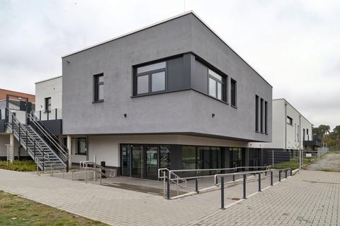 Nauheim ohne Bürgermeister: Wie das funktioniert