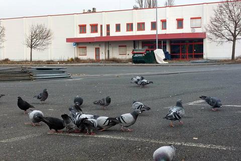 Mit den in Raunheim geplanten Rechenzentren geht es voran